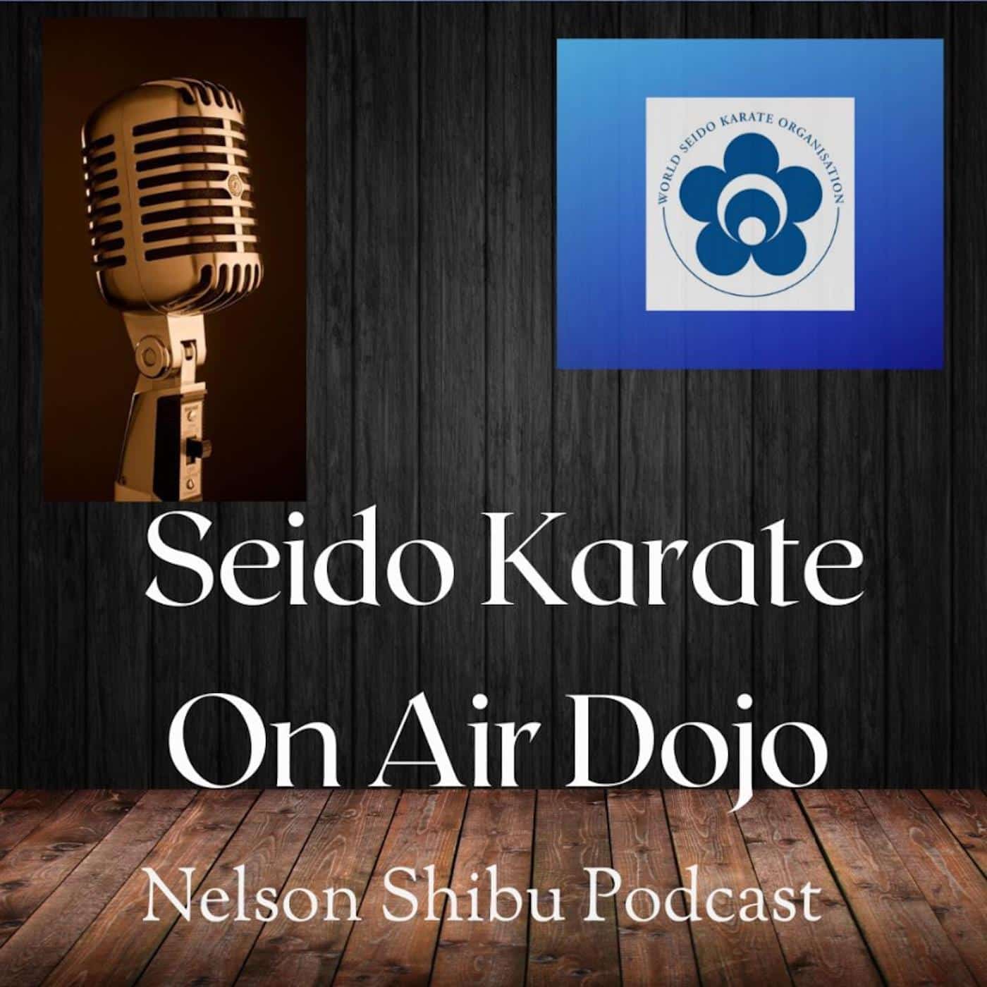 Discover Seido Karate Stories in Nelson On-Air Dojo
